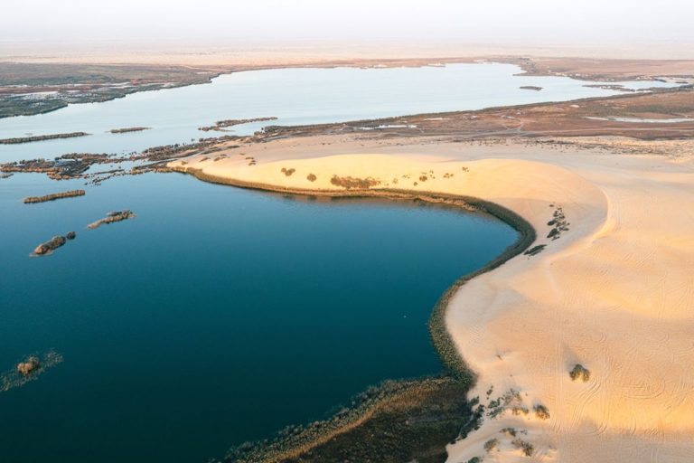 Menjelajahi Pesona Oasis di Arab Saudi: Permata Hijau di Tengah Gurun ...